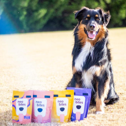 Neo Bites | Superfood for Dogs